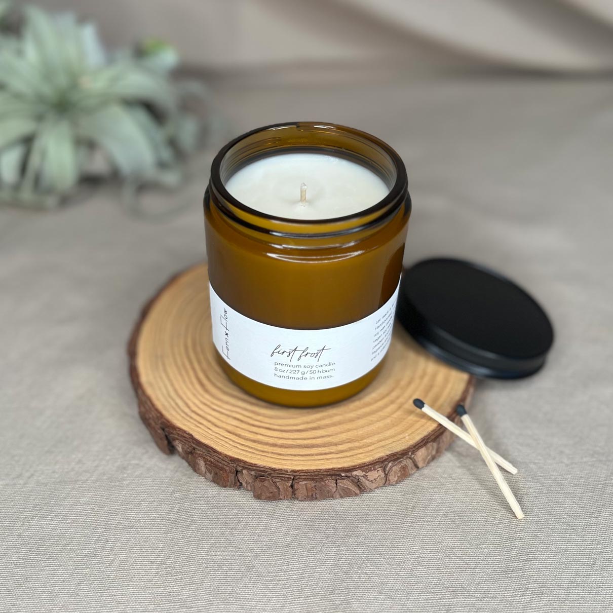 First Frost Modern Amber Soy Candle – Fern x Flow