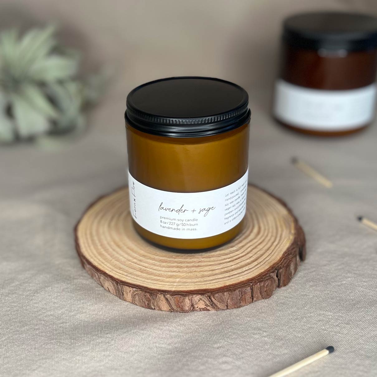 Fern x Flow Amber Collection