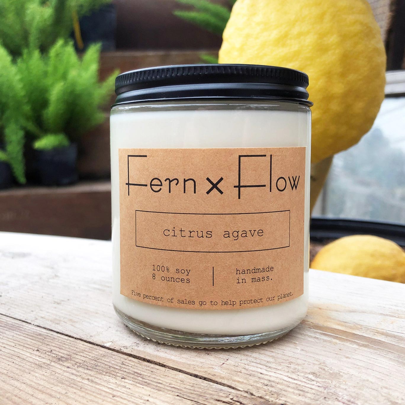 Citrus Agave Scented Soy Candle – Fern x Flow